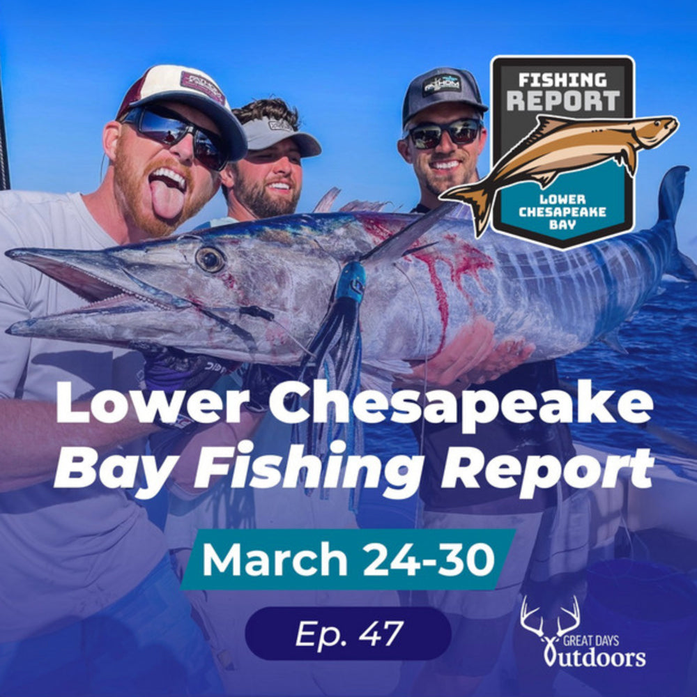 Intro to trolling lures and offshore fishing tips with Brandon Carter ...