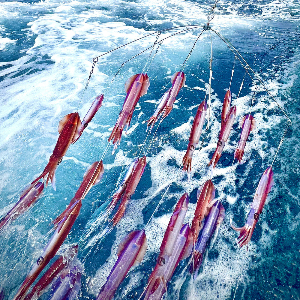 Vivid Dredge and Chain Squids – Fathom Offshore